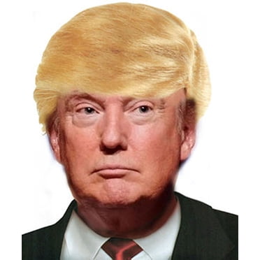 My Costume Wigs Realistic Donald Trump Presidential Wig, One Size Fits ...