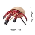 A Solid Plastic Hermit Crab Toy Children'S Simulation Marine Life ...