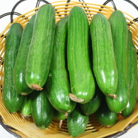 20Pcs Cucumber Seed for Balcony Shed Potted Vegetable Specification:20 ...