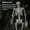 5.5ft Life-Size Posable Skeleton - Realistic Halloween Prop with ...
