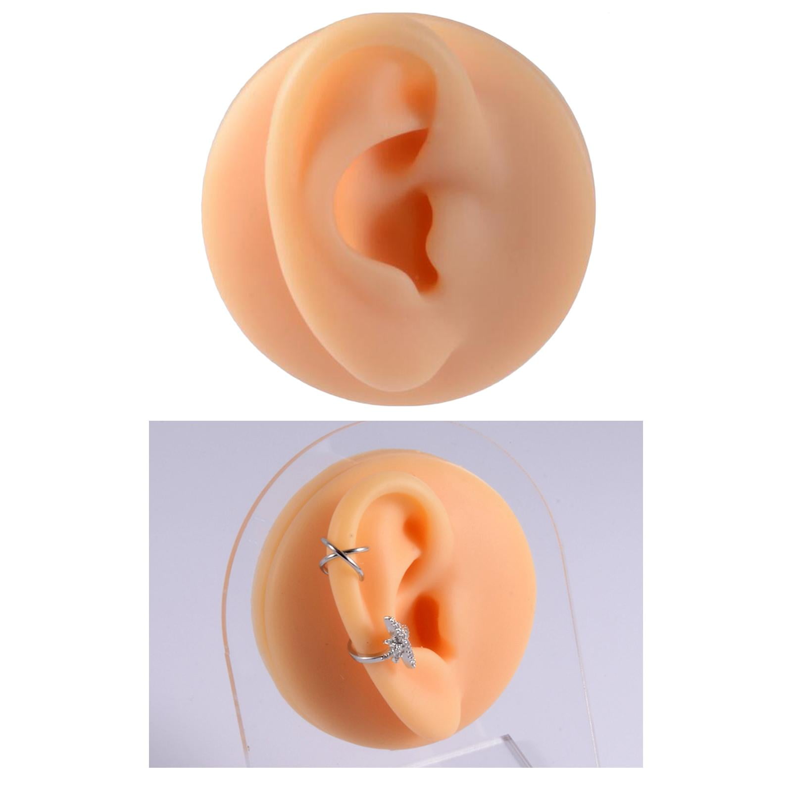 Modelo de Parte Del Cuerpo Práctica Sensación Suave Modelado de Silicona Sin Burbujas para ...