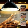 8.5-inch Standard Lamp Dome for Reptile Heating Lamps, Ceramic Heat ...