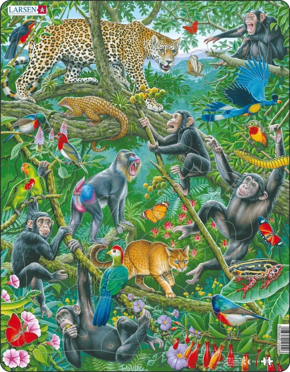 Larsen Puzzles Jungle Life 32 Piece Children's Jigsaw Puzzle - Walmart.com