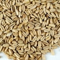 Organic Hulled Oat Groats (Hull Removed): 2 Lbs - Non-GMO Oats - Cereal ...