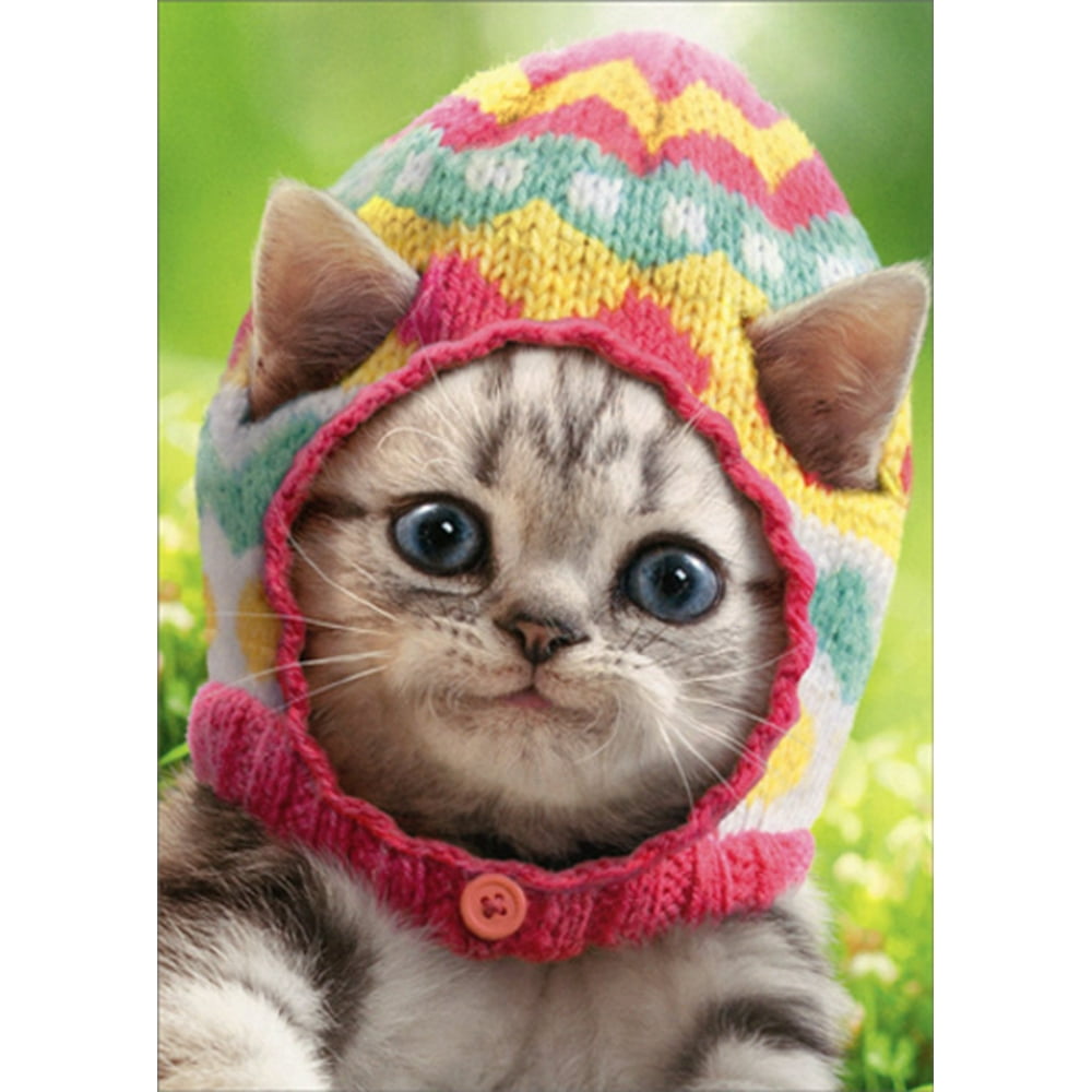 Avanti Press Kitten Wears Knit Egg Cap Cute Cat Easter Card - Walmart ...