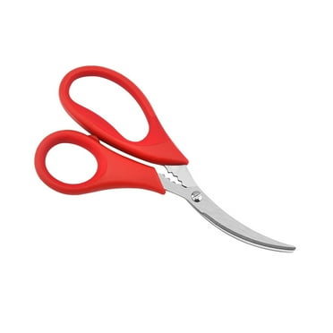Paderno World Cuisine Kitchen Scissors, L 7 1/8" - Walmart.com