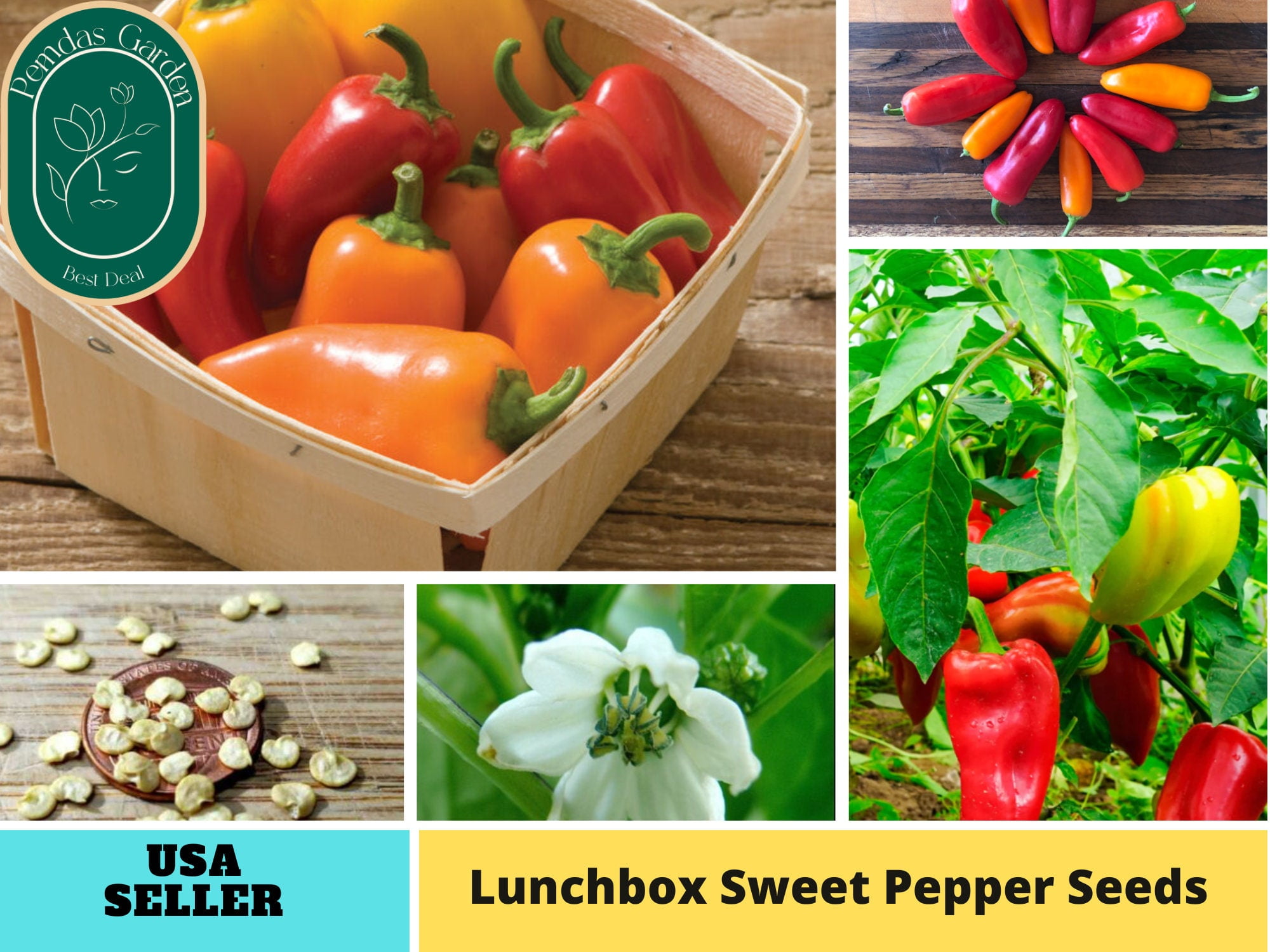 30 Seeds| Lunchbox Sweet Pepper Seeds - Authentic Seeds ~ GMO Free ...