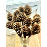 Mini Pine Cone, 9" Rattan Wood Reed Diffusers Replacement Sticks, 16 pk ...