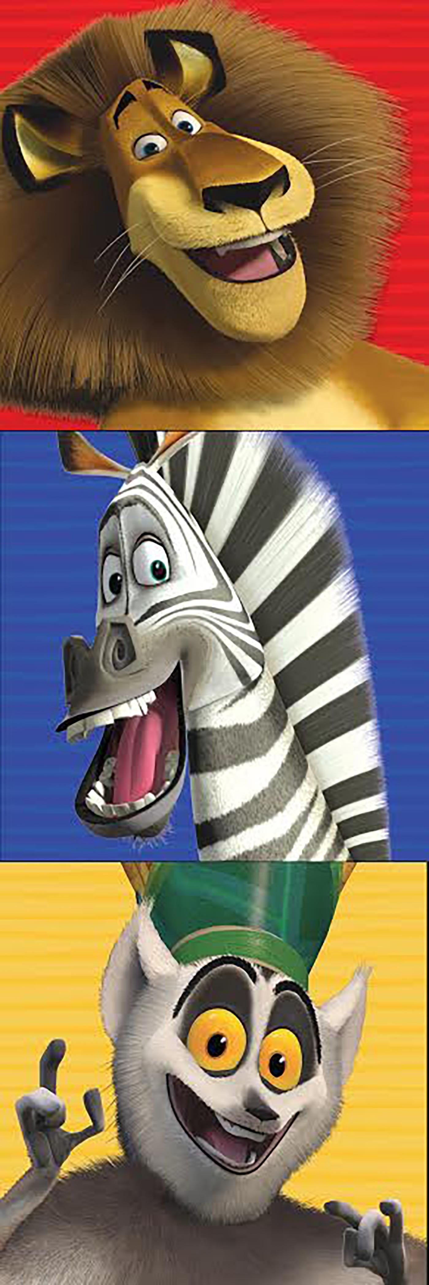 Madagascar Awesome Animals (Boxy Book Set) - Walmart.com