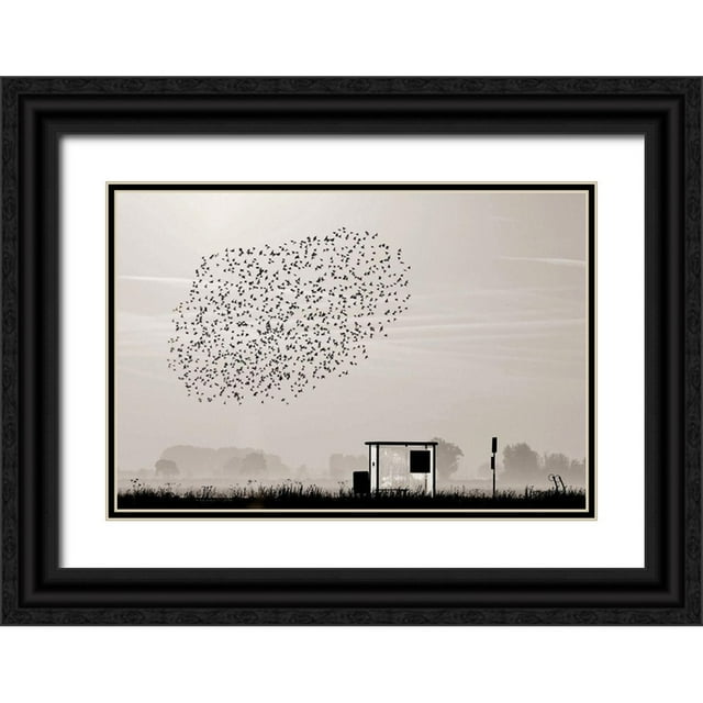 Annemieke 24x18 Black Ornate Wood Framed with Double Matting Museum Art ...