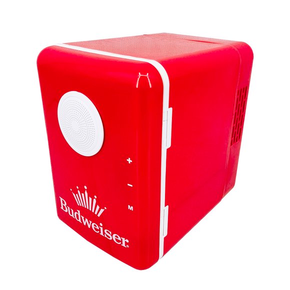 Bluetooth Mini Fridge
