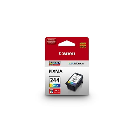 Genuine Canon CL-244 Color Ink Cartridge, 1 Piece - Walmart.ca