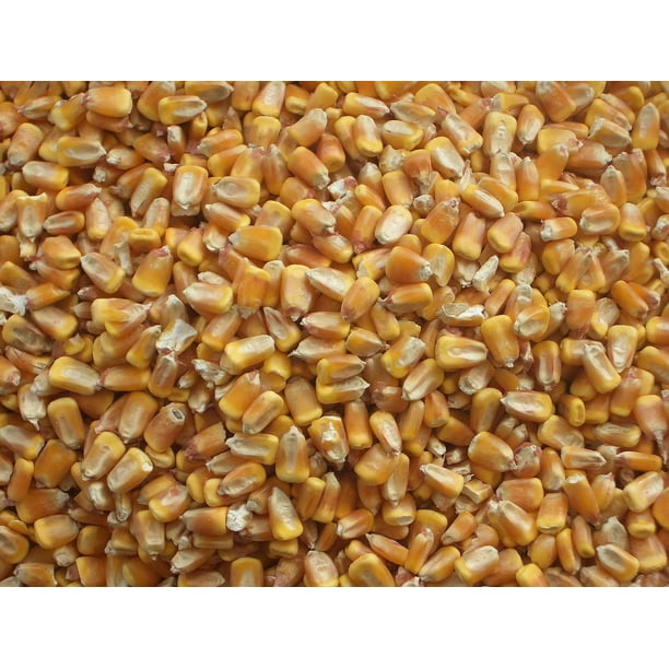 Bulk Whole corn for Wildlife Feeding (1, 10 Pounds) - Walmart.ca
