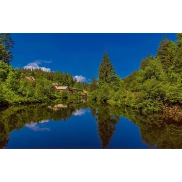 Educa 33,600 Piece Wild Life Puzzle with Wheeled Wooden Carry Case ...