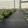 Lazy Garden Kit | 15' x 20' Ground Cover | Irrigation System - Walmart.com