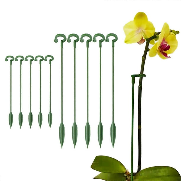 New Gardening Bonsai Stand Phalaenopsis Support Rod Plant Potted Flower ...
