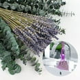 AMI PARTS Dried Eucalyptus Stems and Lavender Flowers, 120 Pcs, 14-17 ...