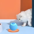 BESTSKY 2026 New Cat Toys for Indoor Cats Dual Color Options ...