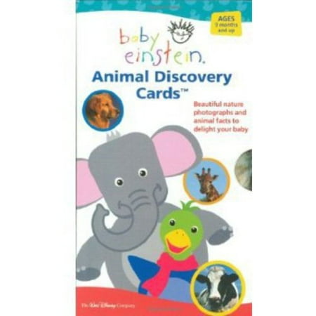 Baby Einstein: Animal Discovery Cards - Walmart.com