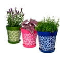 Hum Flowerpots, 3 Plastic, 8.5 inch Plant Pots with 3 Saucers, Multi ...