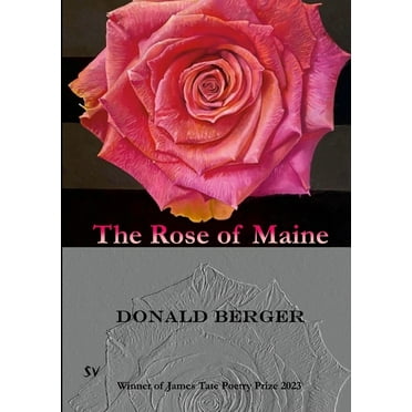 The Secret Horses of Briar Hill, (Paperback) - Walmart.com