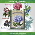 Down to Earth Garden Sulfur All Natural Soil Acidifier Amendment, 5lbs ...