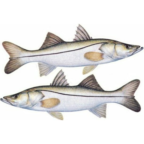 Snook Decal Twin Pack - Walmart.com - Walmart.com