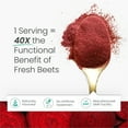HumanN SuperBeets Beet Root Powder Nitric Oxide Boost - 30 Servings ...