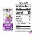 Honest Kids Organic Goodness Grapeness Fruit Juice Pouches, 6 fl oz, 8 ...