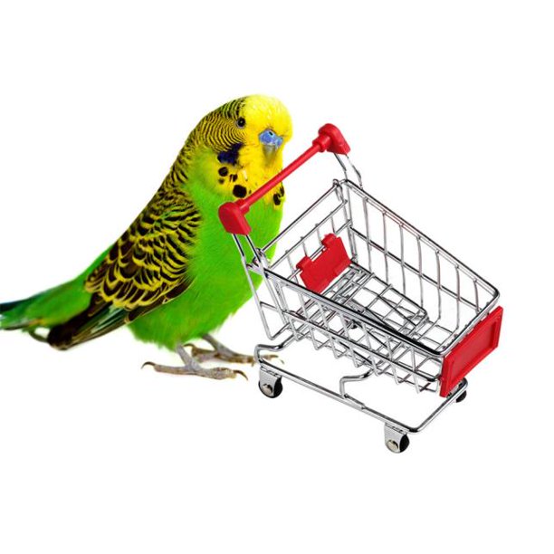 Parrot Mini