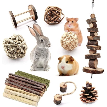 Tatum88 Hamster Toy, Rabbit Treat, Applewood Timothy Hay and Sweet ...