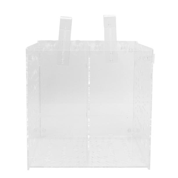 Transparent Fish Breeding Box, Fish Incubation Box, Seedlings ...