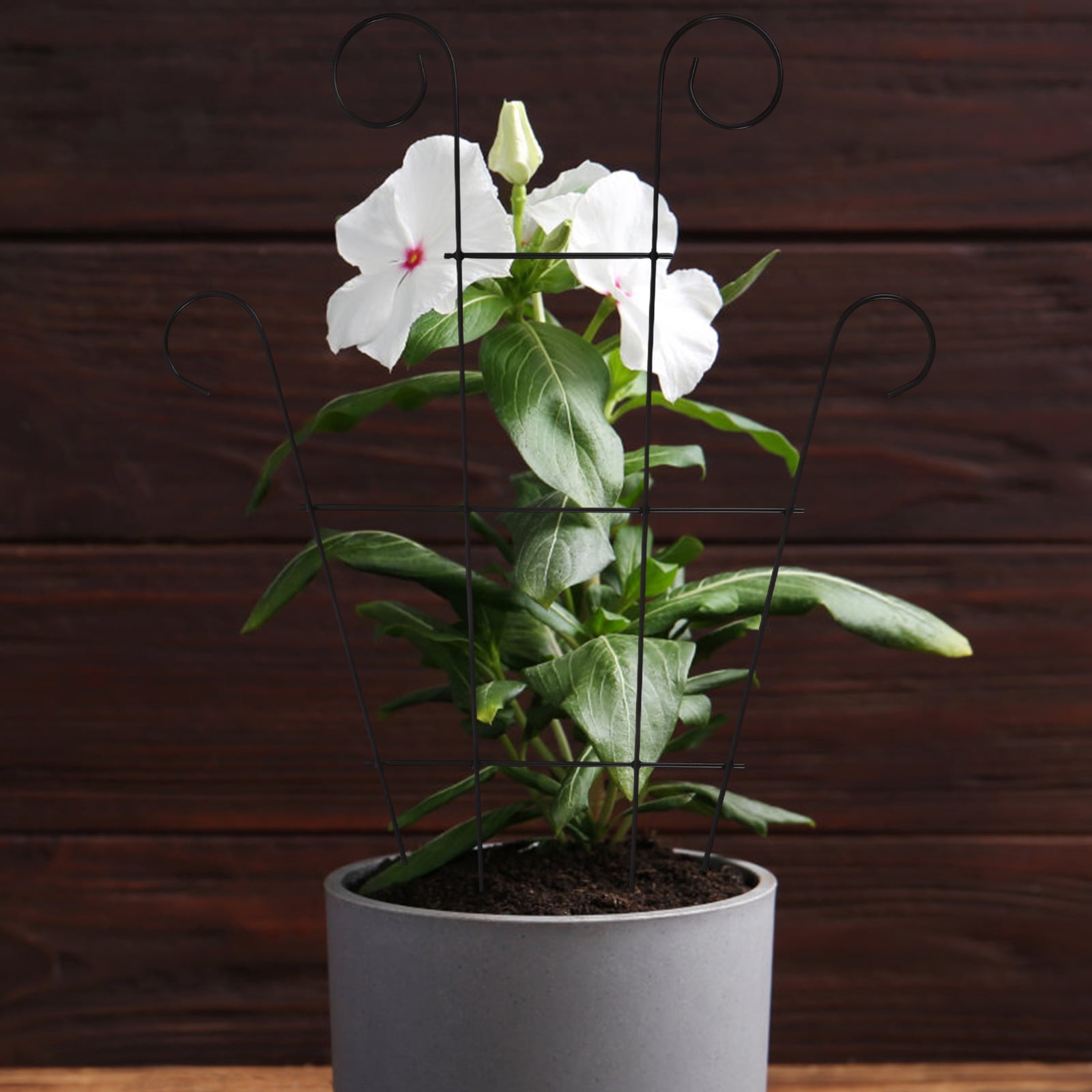 Click here for Hampplies Indoor Climbing Plant Support Flowerpot... prices