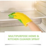 Fly Cleanse Natural Formula Appliances, Kitchen Appliance Cleaner ...