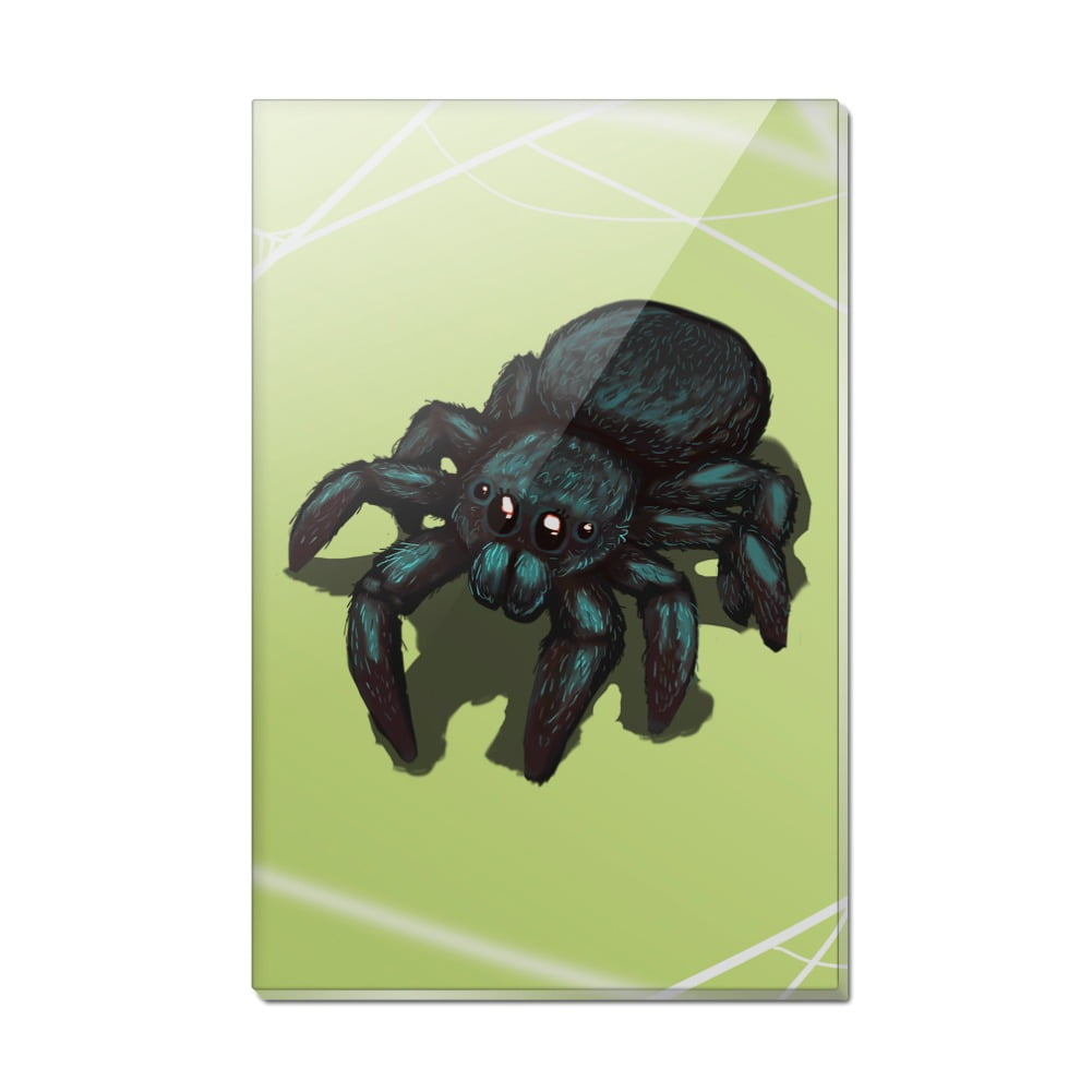 Cute Spider Rectangle Acrylic Fridge Refrigerator Magnet - Walmart.com