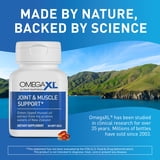 OmegaXL, Supplement Green-Lipped Mussel Oil - 60 Softgels - Walmart.com