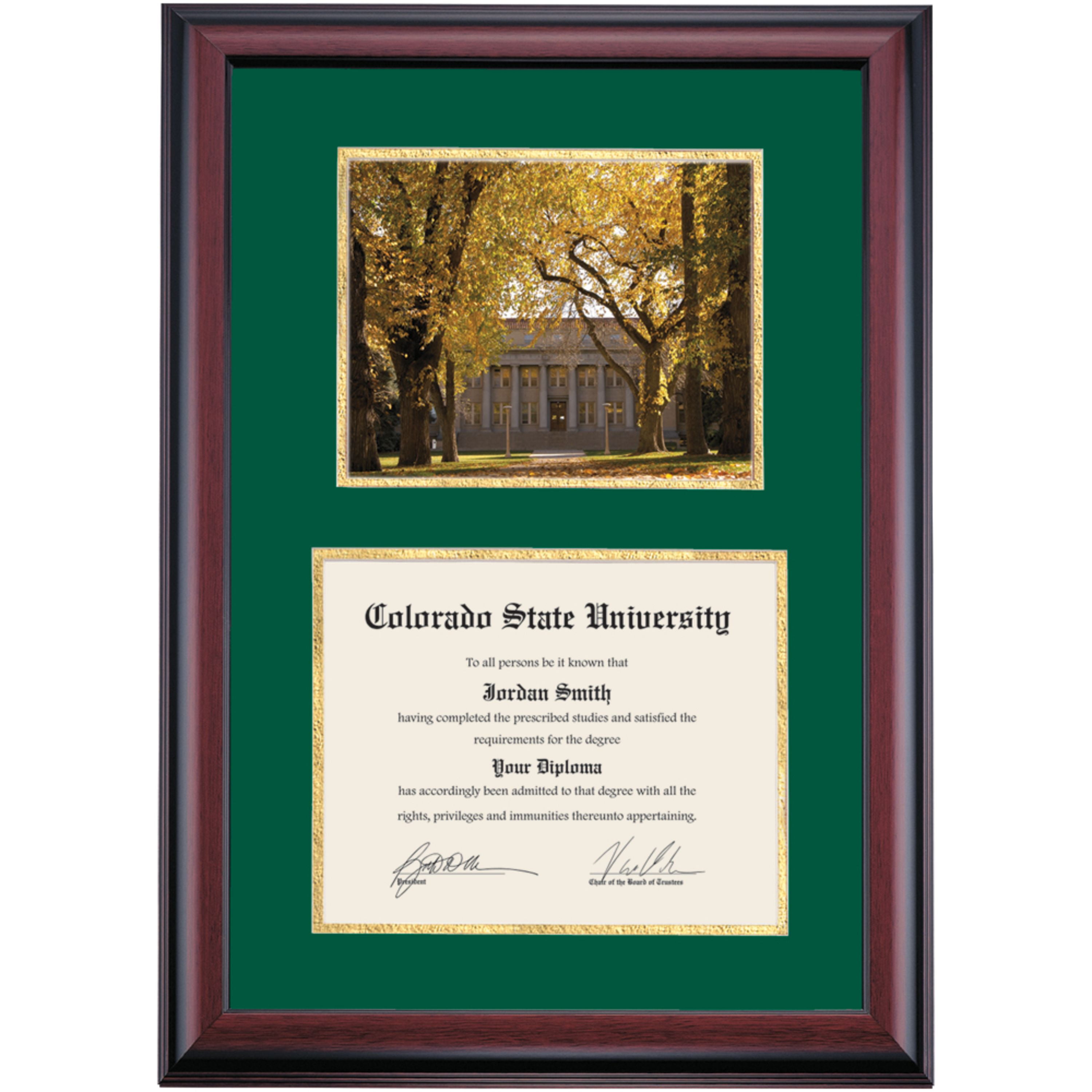 OCM Diploma Frame for Colorado State University CSU, Hunter Green/Gold ...