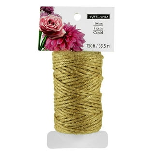 5mm Jute Twine, 100 Feet Braided Natural Jute Rope for Artworks and ...