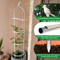 Garden Trellis for Climbing Plants, Rustproof Metal Pipe with Heavy ...