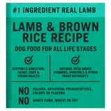 Pure Balance Lamb & Brown Rice Recipe Dry Dog Food, 30 lbs - Walmart.com
