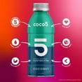 Coco5 Coconut Flavored Hydration - Walmart.com