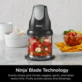 Ninja Express Chop Black Food Chopper Mince Puree for Vegetables Garlic ...