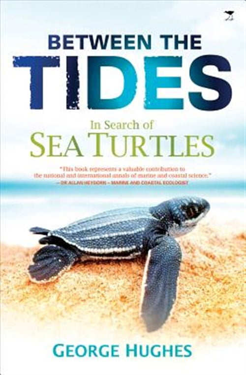 Pre-Owned Between the Tides : In search of sea turtles - Walmart.com