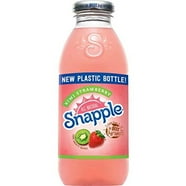 Snapple Elements Rain Agave Cactus Juice Drink, 15.9 Fl Oz Recycled ...