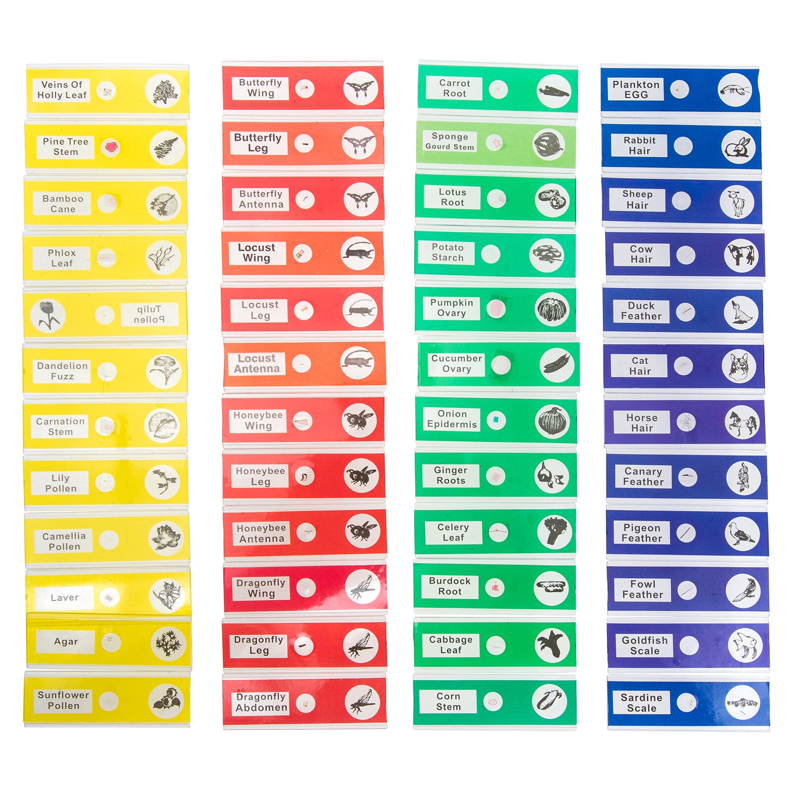 Click here for Ounona 48pcs Prepared Microscope Slides Biological... prices