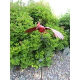 43" Tall Whimsical Kinetic Metal Red Cardinal Yard Stake Wind Spinner ...
