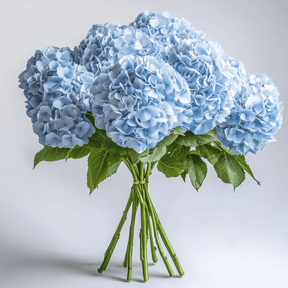 10 Blue Hydrangea Flowers- Beautiful Fresh Cut Flowers- Express ...