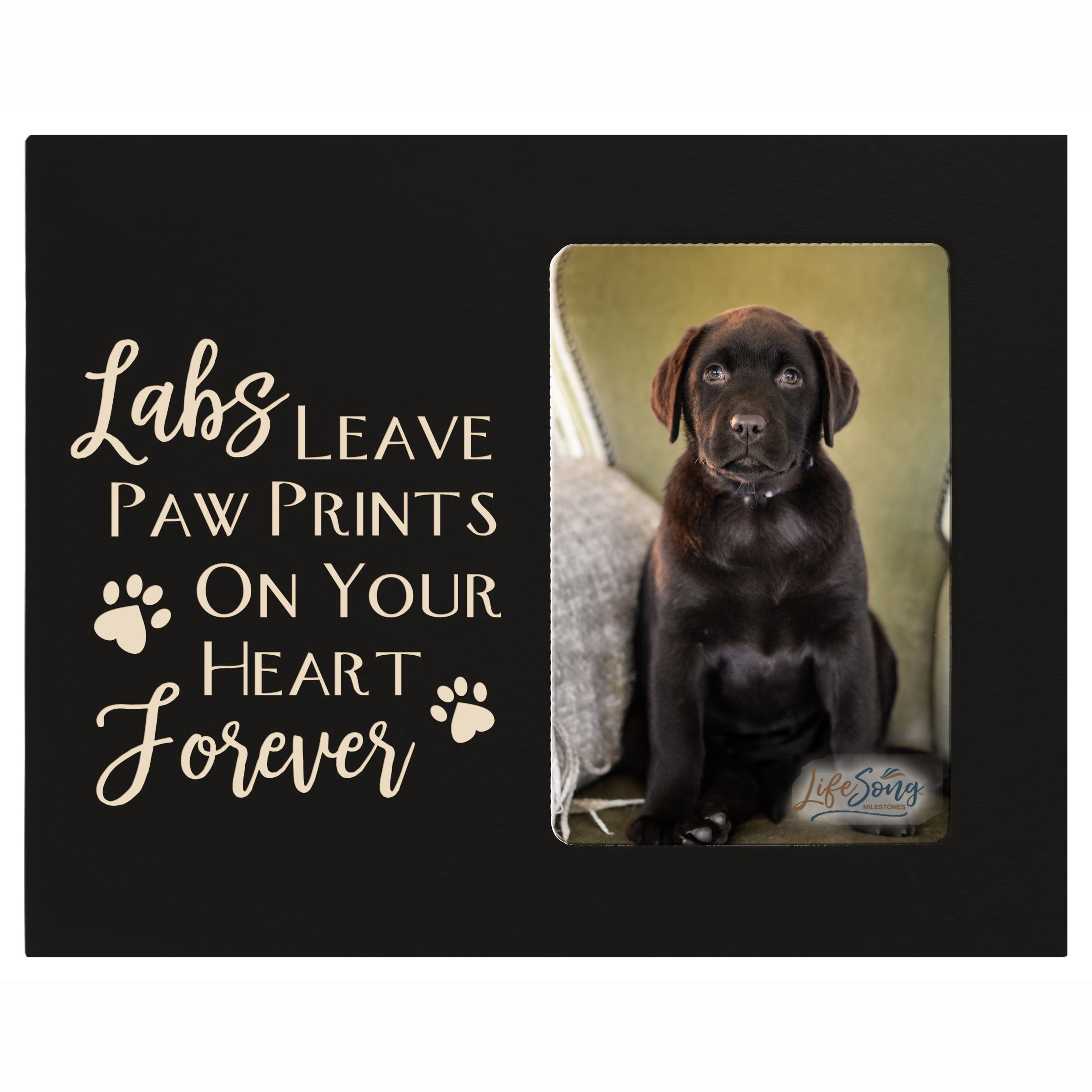 Wooden Inspirational 8x10 Picture Frame for Pet Dogs holds 4x6 photo ...