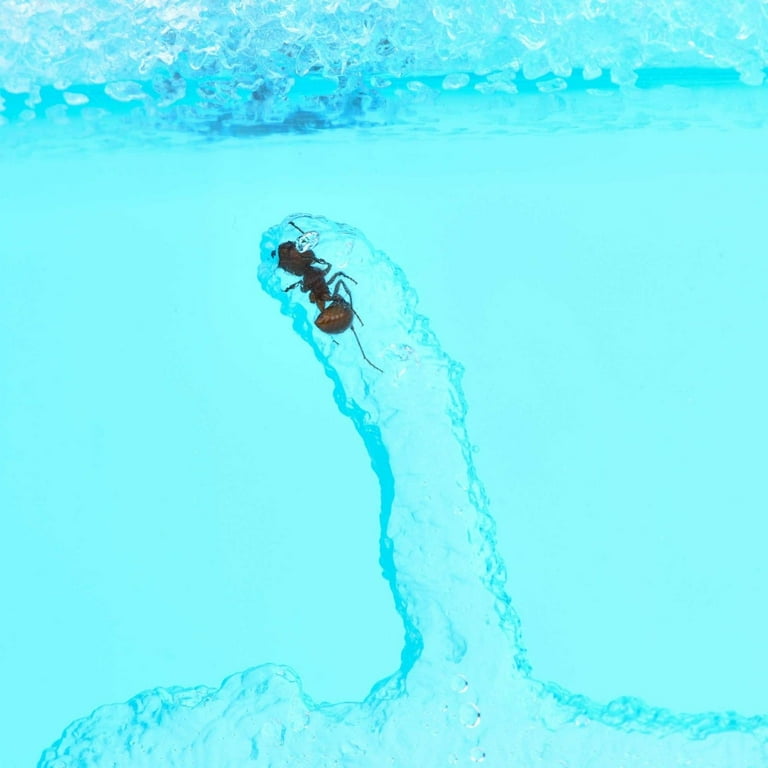 Jelly Ant Farming Material