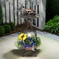 Pefilos 31" Outdoor Pedestal Garden Bird Bath with Solar Light, Bird ...